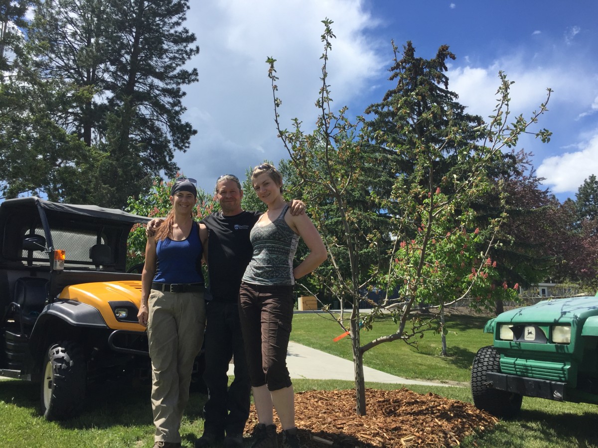 TRU sustainability grant fund supports new tree care project – TRU Newsroom