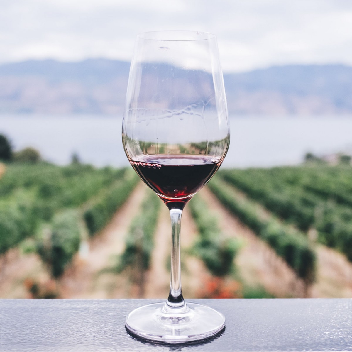 Despite climate challenges, the future looks bright for BC wines – TRU ...