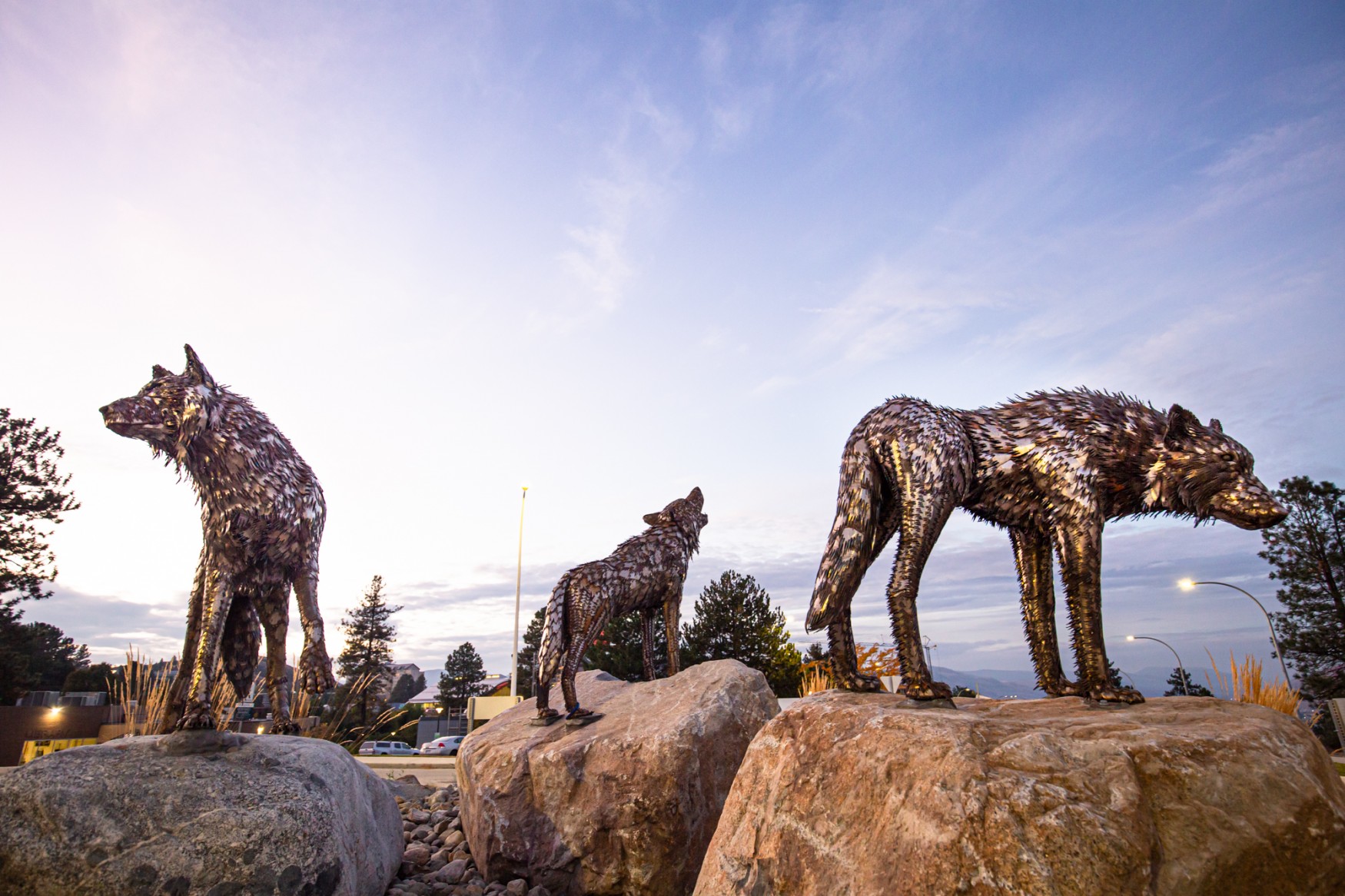 Meet the wolves of University Drive – TRU Newsroom