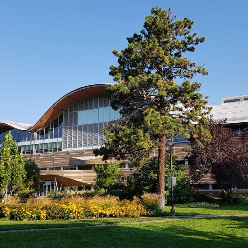 Basic Rules for Gerunds and Infinitives – TRU Newsroom