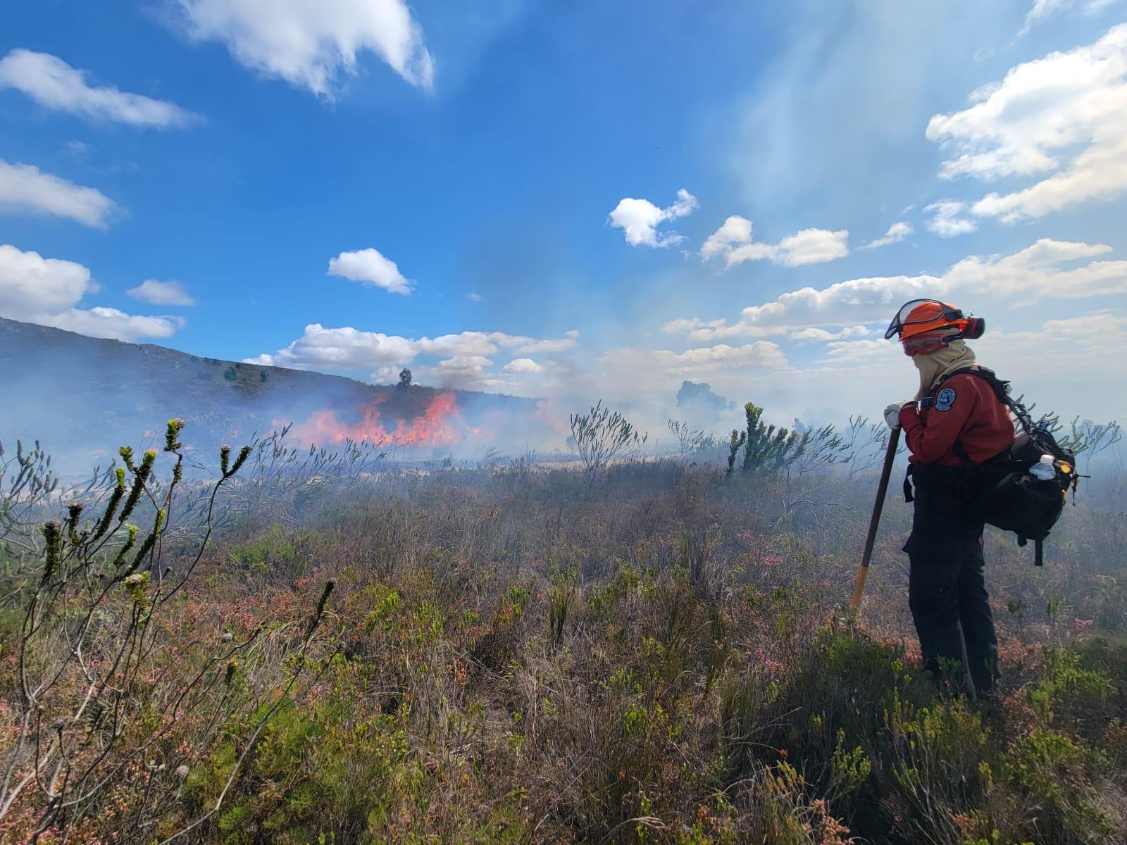 Graduate student’s global wildfire journey – TRU Newsroom