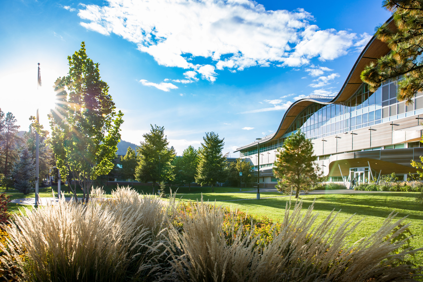 Appeal court cites TRU law professor – TRU Newsroom