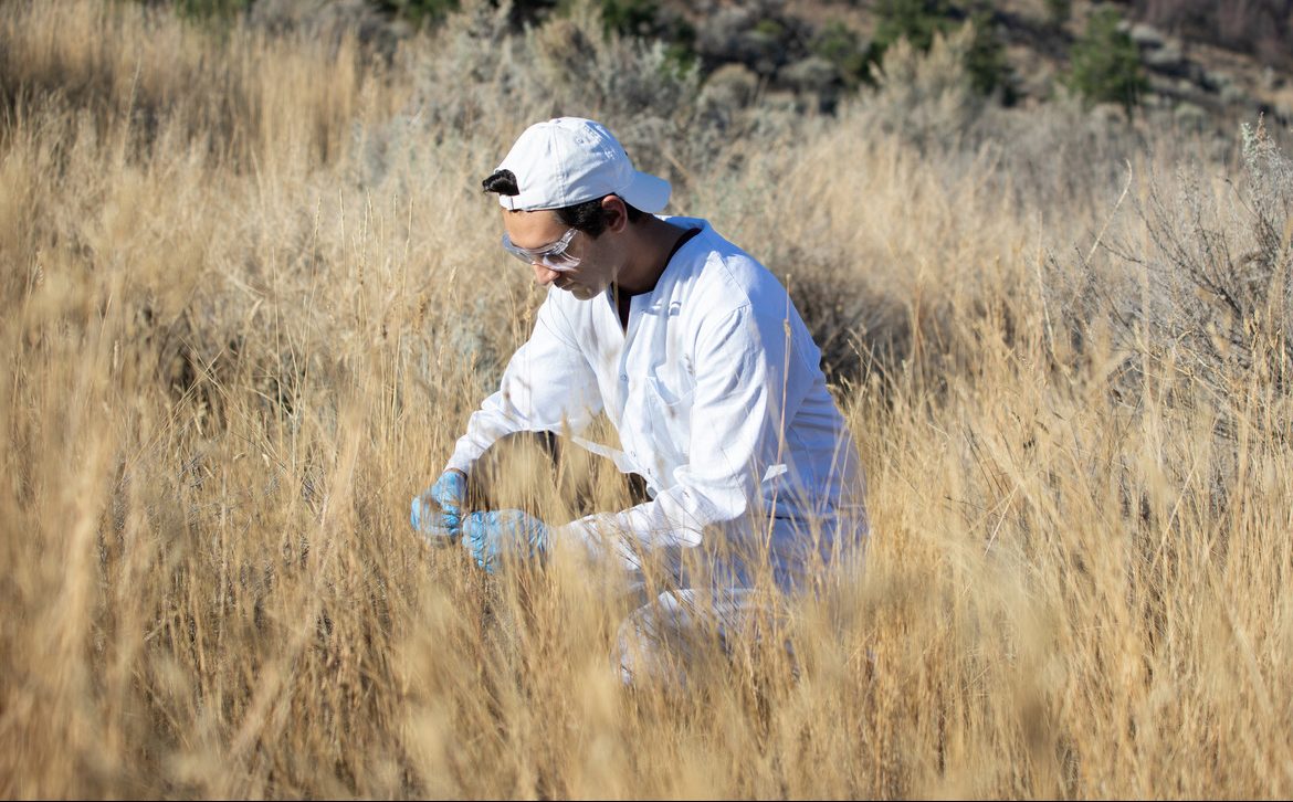 Discovery Grants boost student assistance for TRU researchers – TRU ...