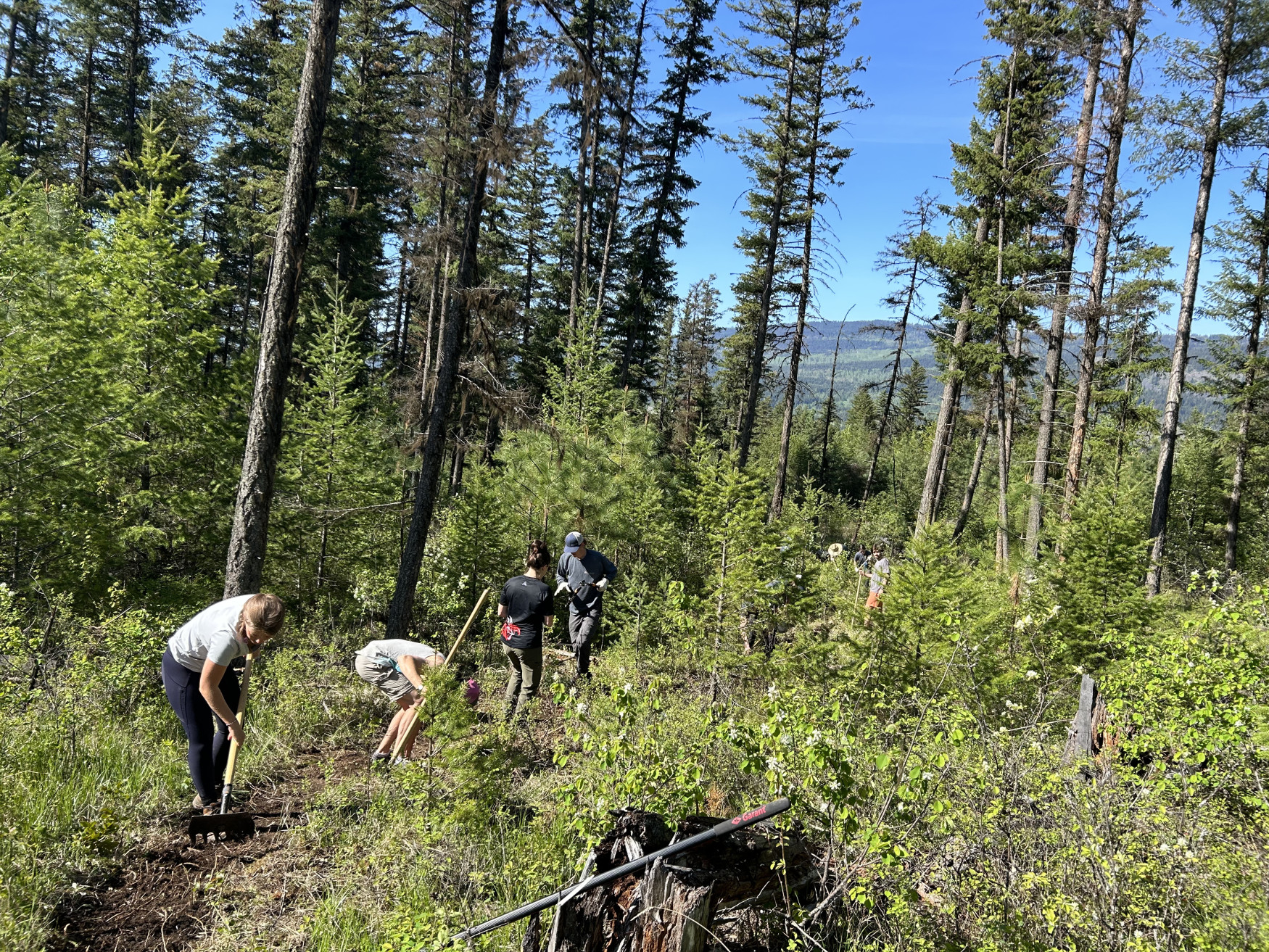 Trail building clears a path to reconciliation – TRU Newsroom