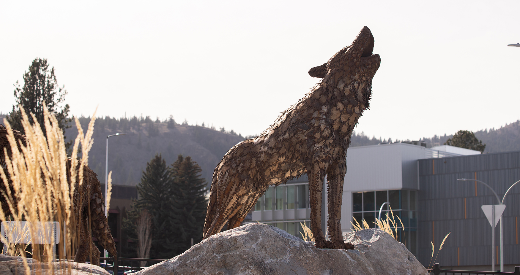 TRU Alumni, philanthropy initiatives recognized with national awards ...