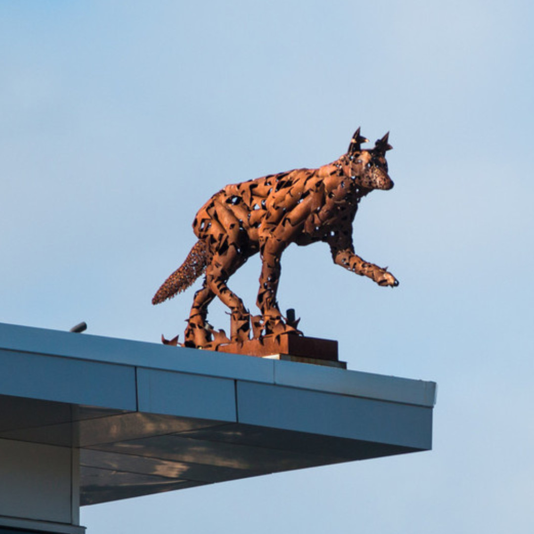 Elders’ Luncheon – Indigenous Awareness Week – TRU Newsroom