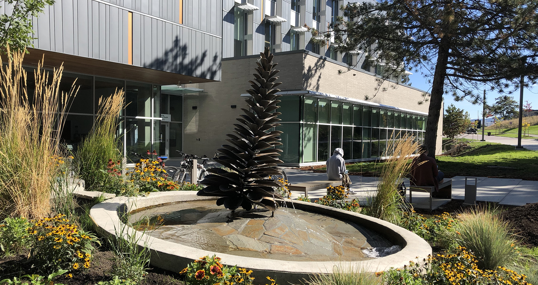 TRU School of Nursing celebrates 50 years of health-care education ...