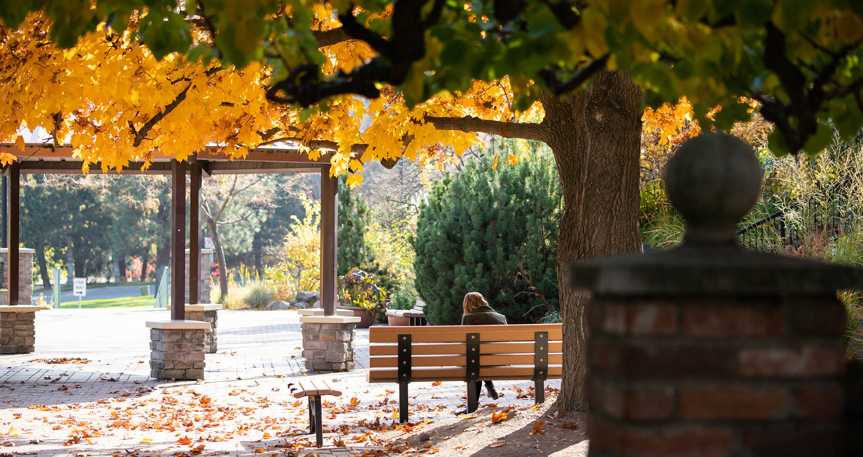 Why language matters in conversations about substance use – TRU Newsroom